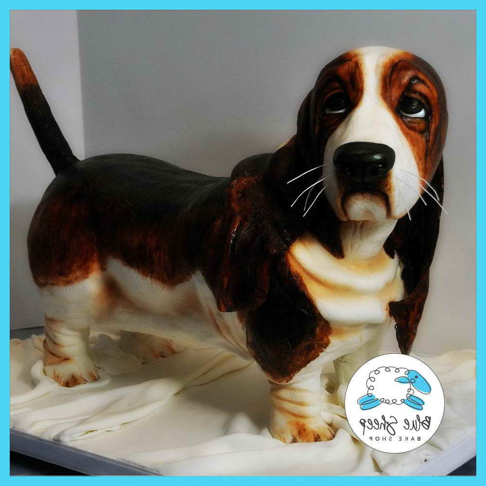 Basset Hound Cake | PETSIDI