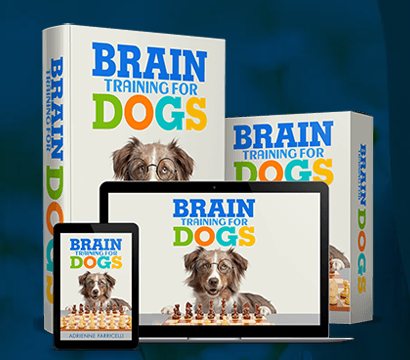brain dogs training | PETSIDI